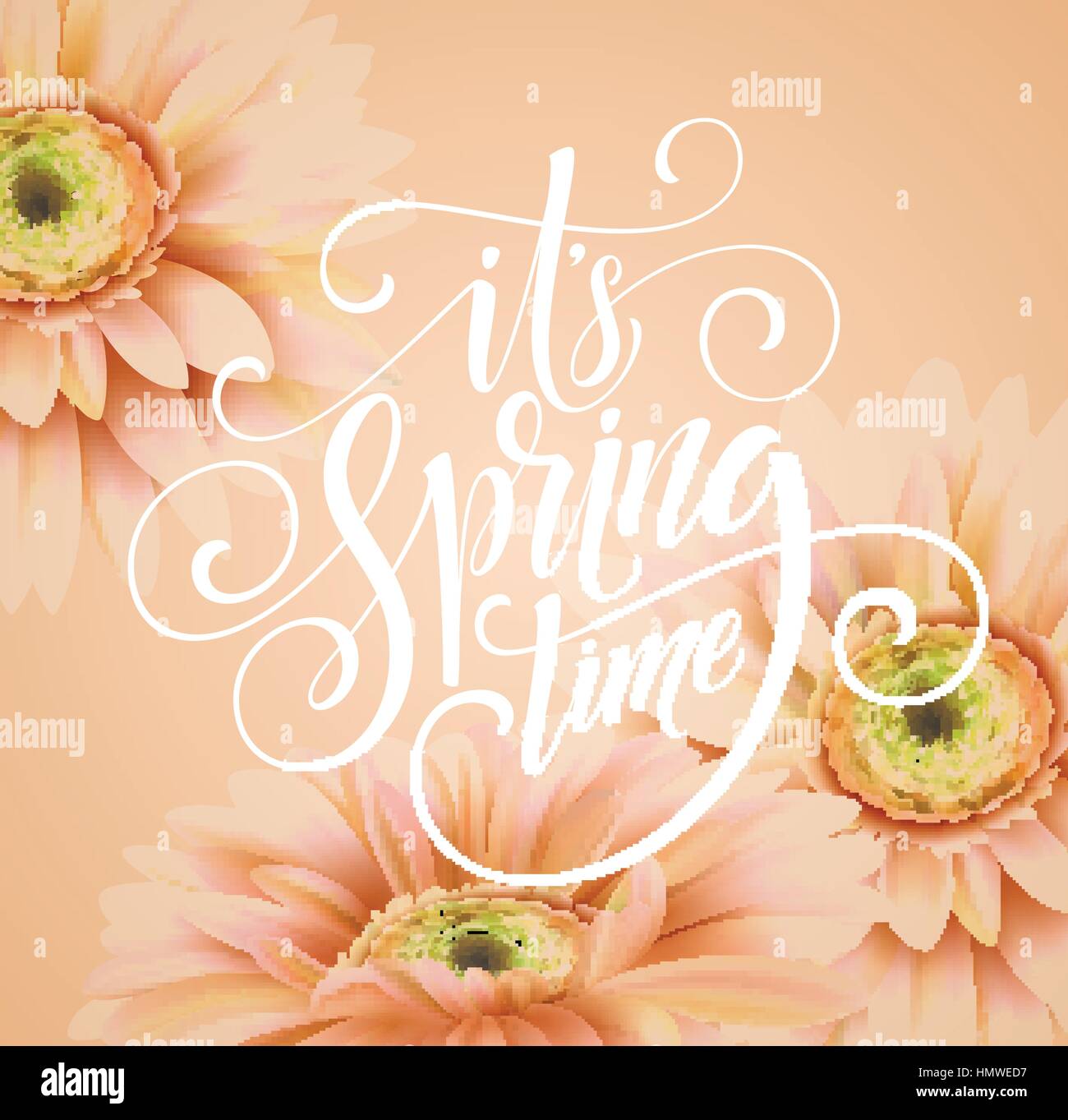 Gerbera Flower Background and Spring Lettering. Vector Illustration ...