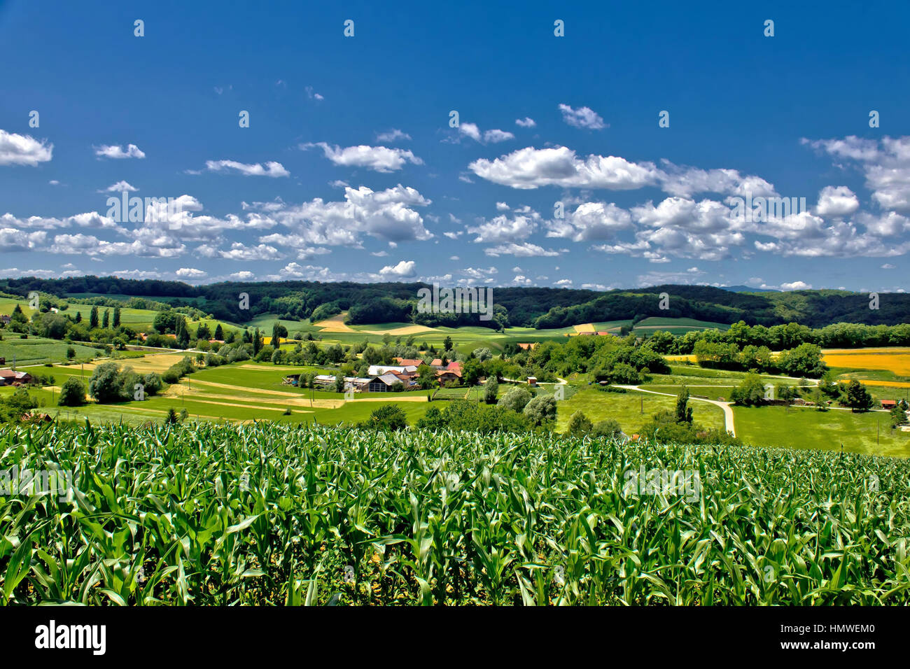 Beautiful green village scenery landscape in spring time, Zaistovec ...