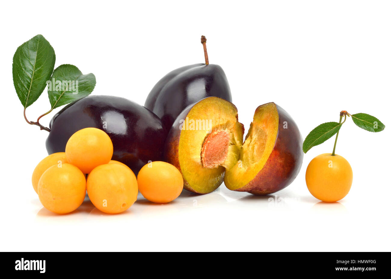 Cherry plums isolated hi-res stock photography and images - Alamy