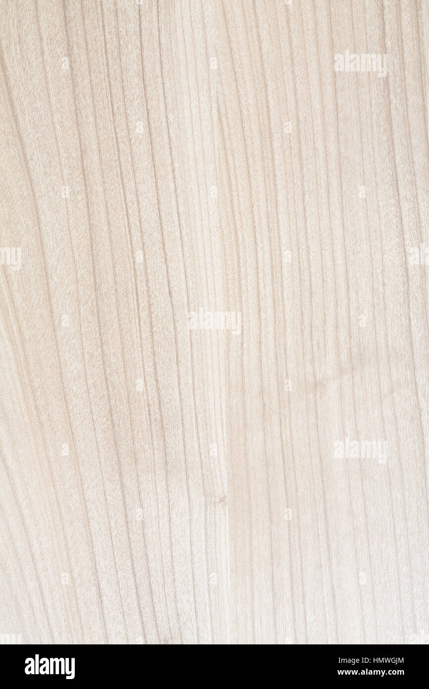 High resolution blonde wood texture Stock Photo - Alamy