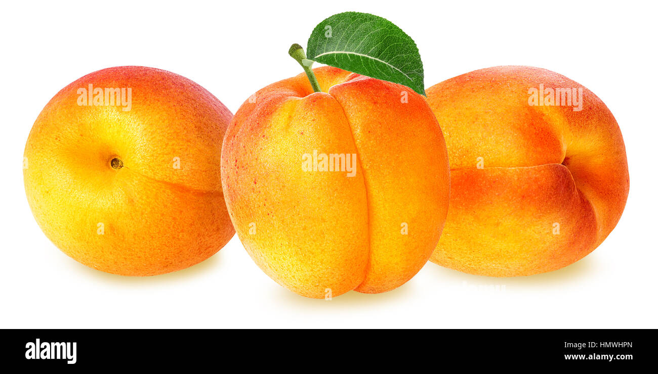 apricot isolated on white background Stock Photo - Alamy