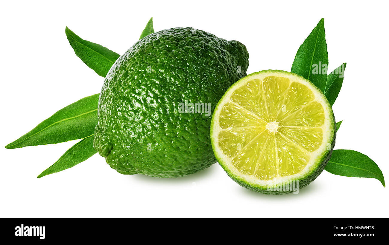 lime isolated on white background Stock Photo - Alamy