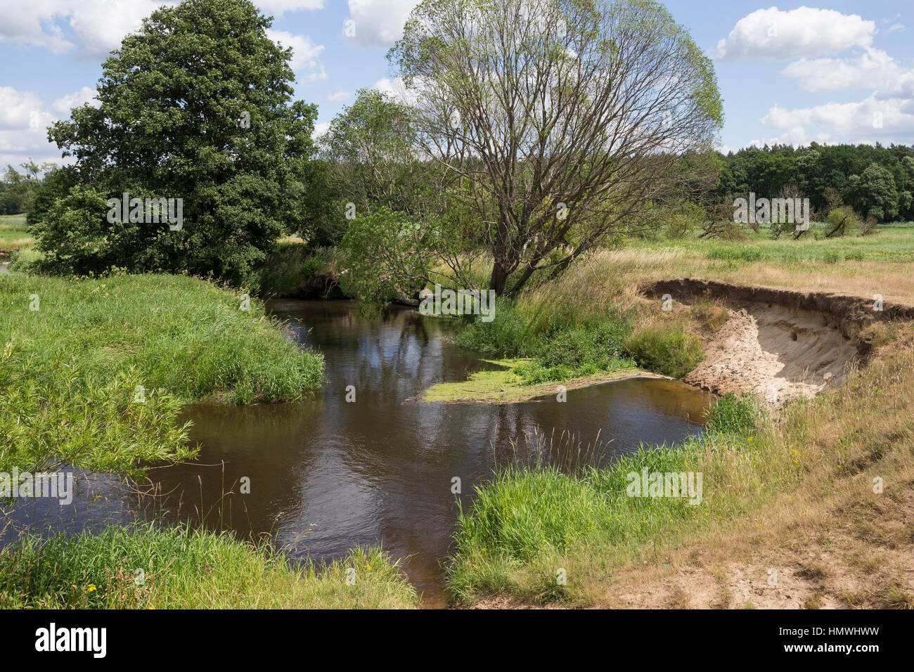 Undercut river hi-res stock photography and images - Alamy