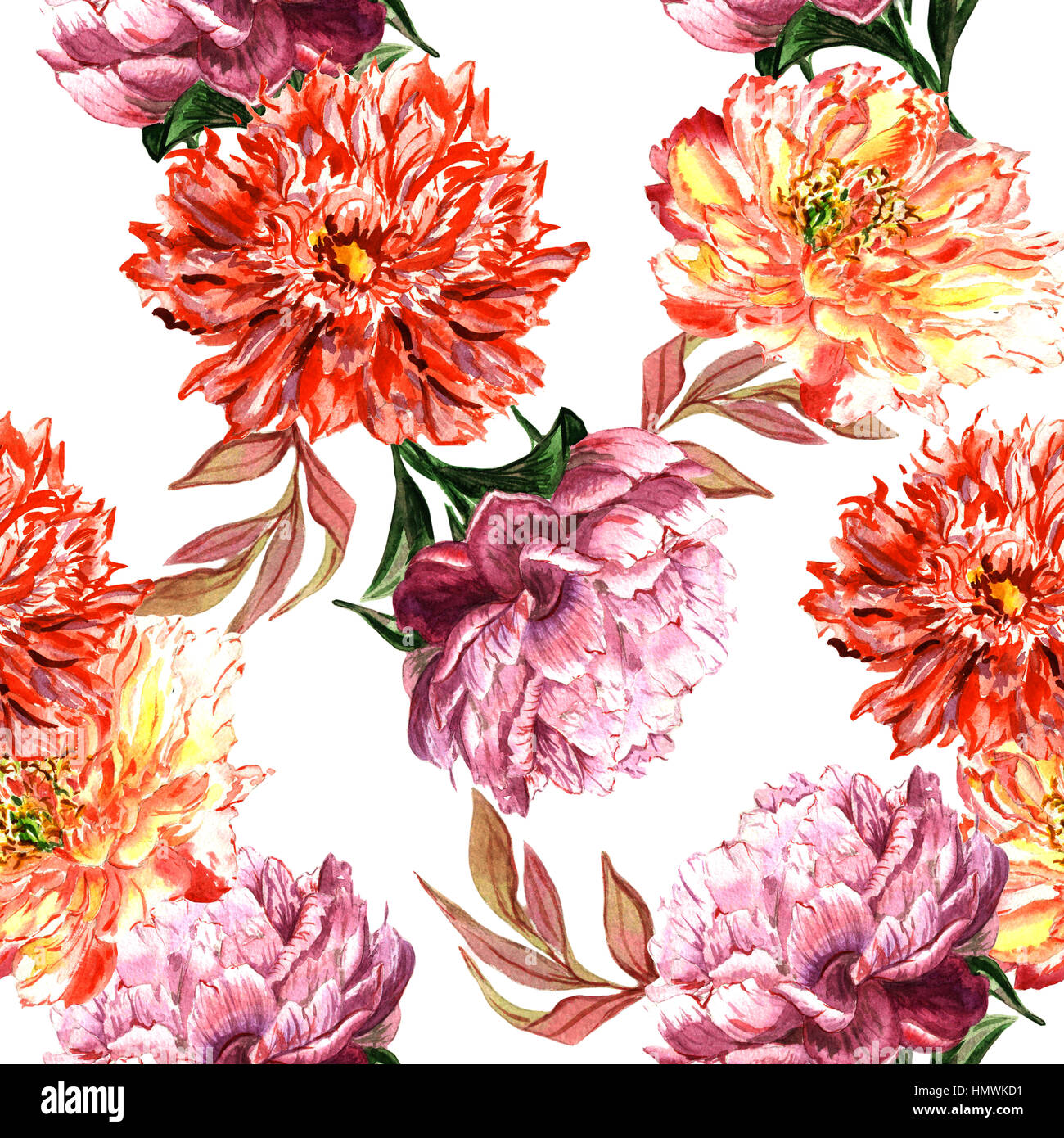 Wildflower peony flower pattern in a watercolor style isolated Stock ...