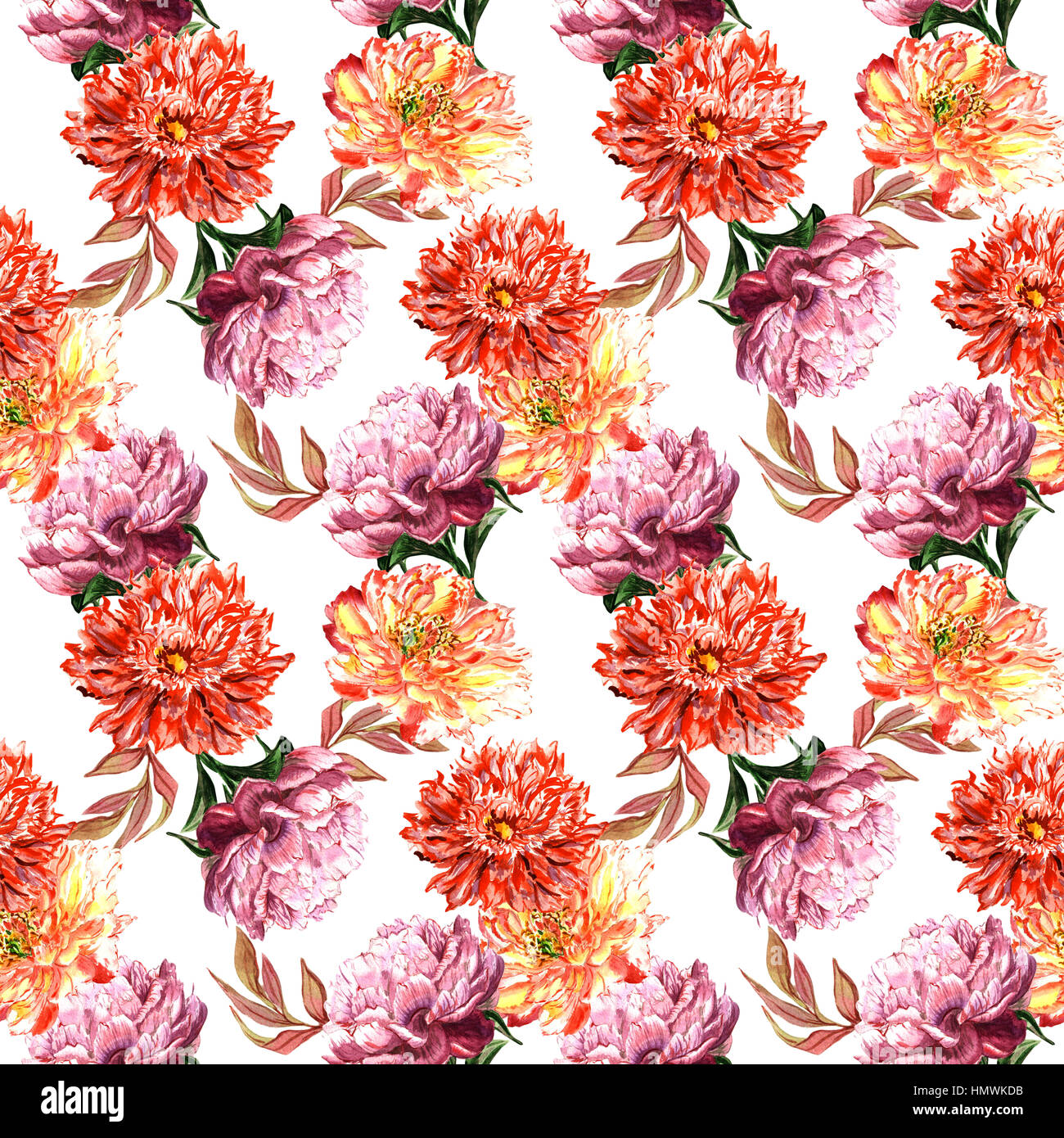 Wildflower peony flower pattern in a watercolor style isolated Stock ...
