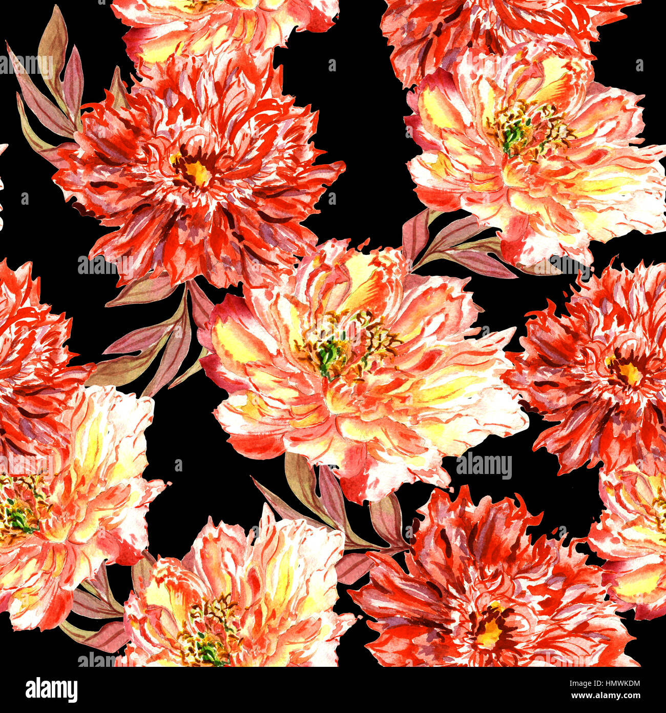 Wildflower peony flower pattern in a watercolor style isolated Stock ...