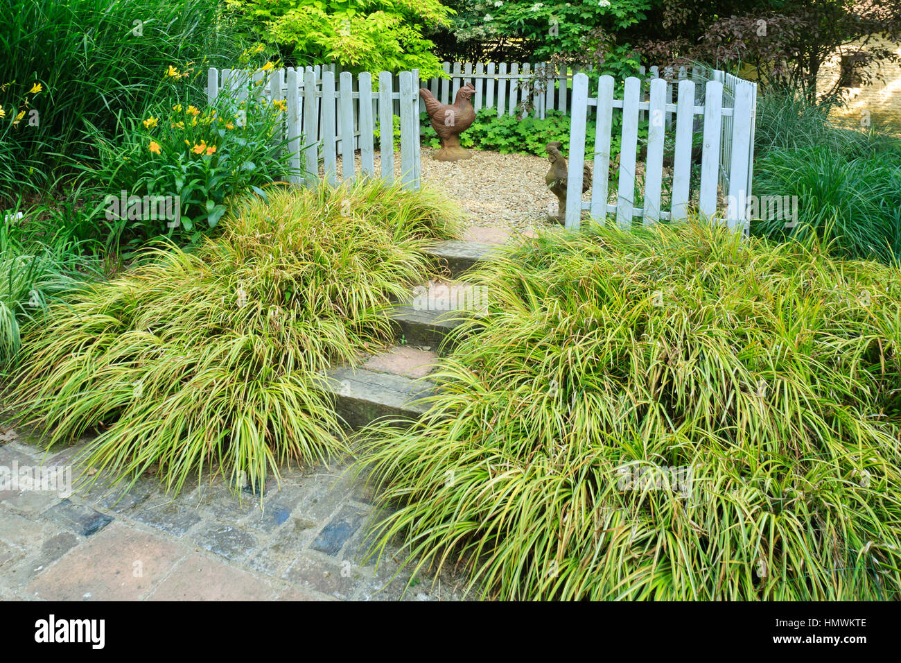 Enclosure for iron hens and stairs bordered with Acorus gramineus 'Ogon ...