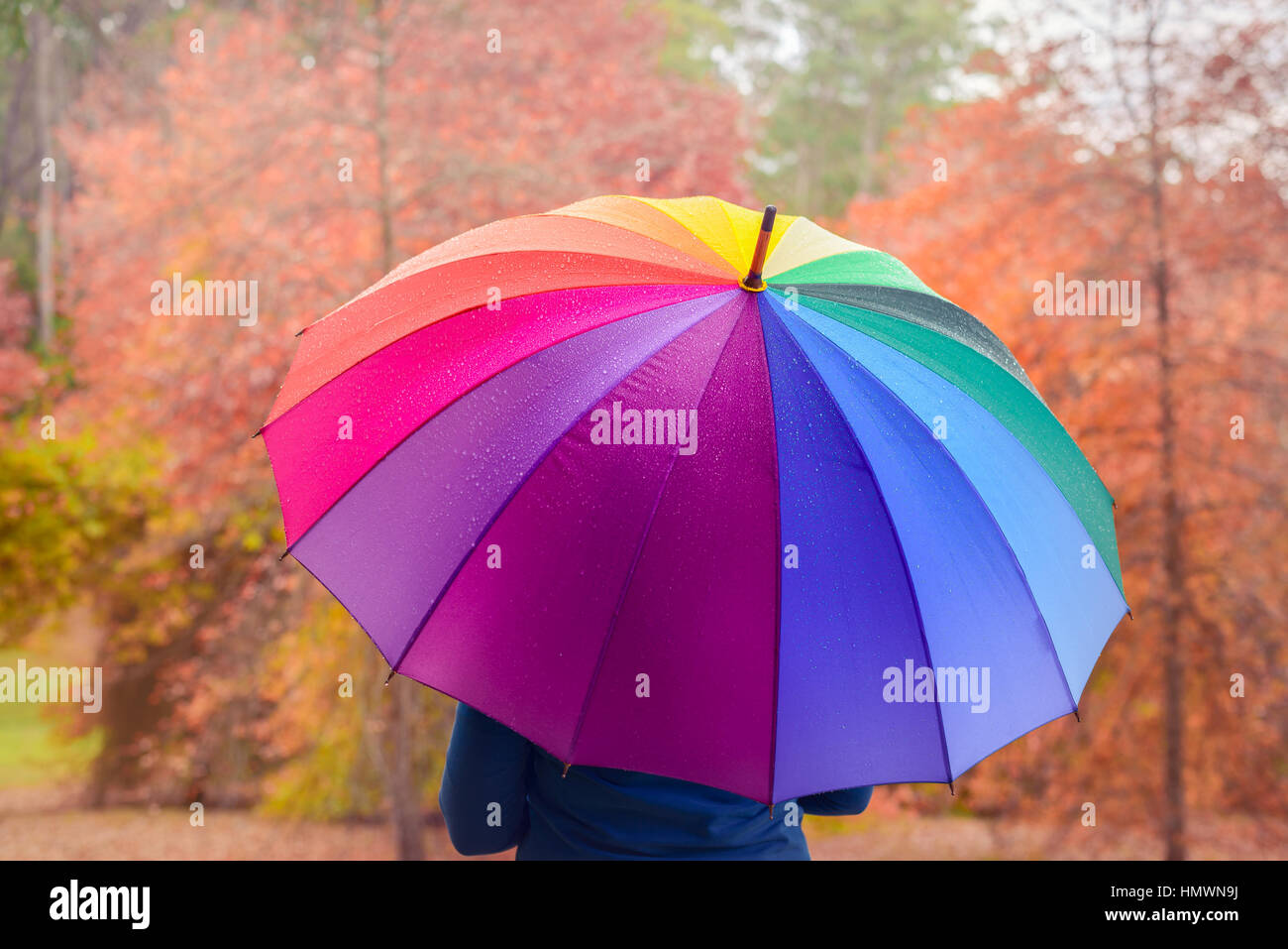 Woman standing under rain in autumn park with colorful umbrella Stock ...