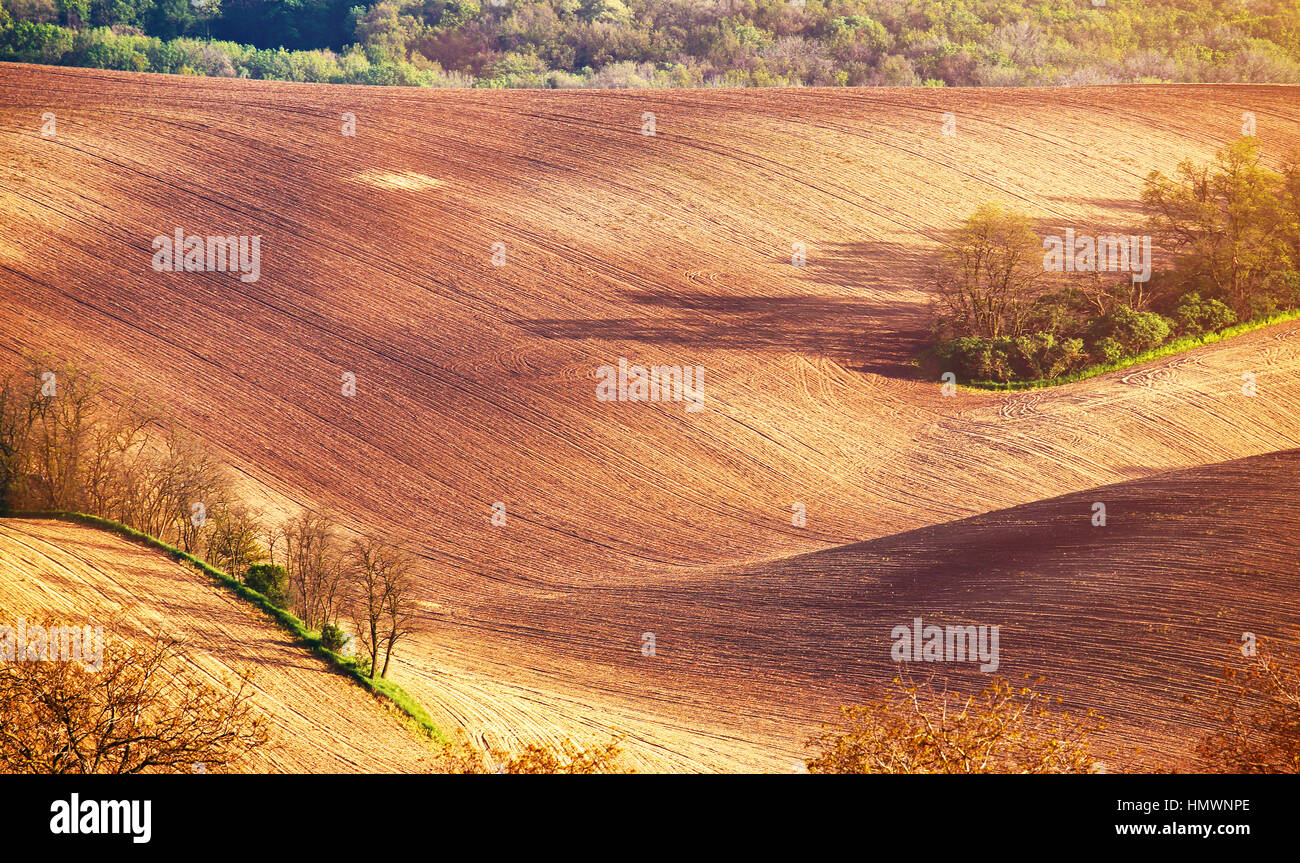 Tillage soil pattern hi-res stock photography and images - Alamy
