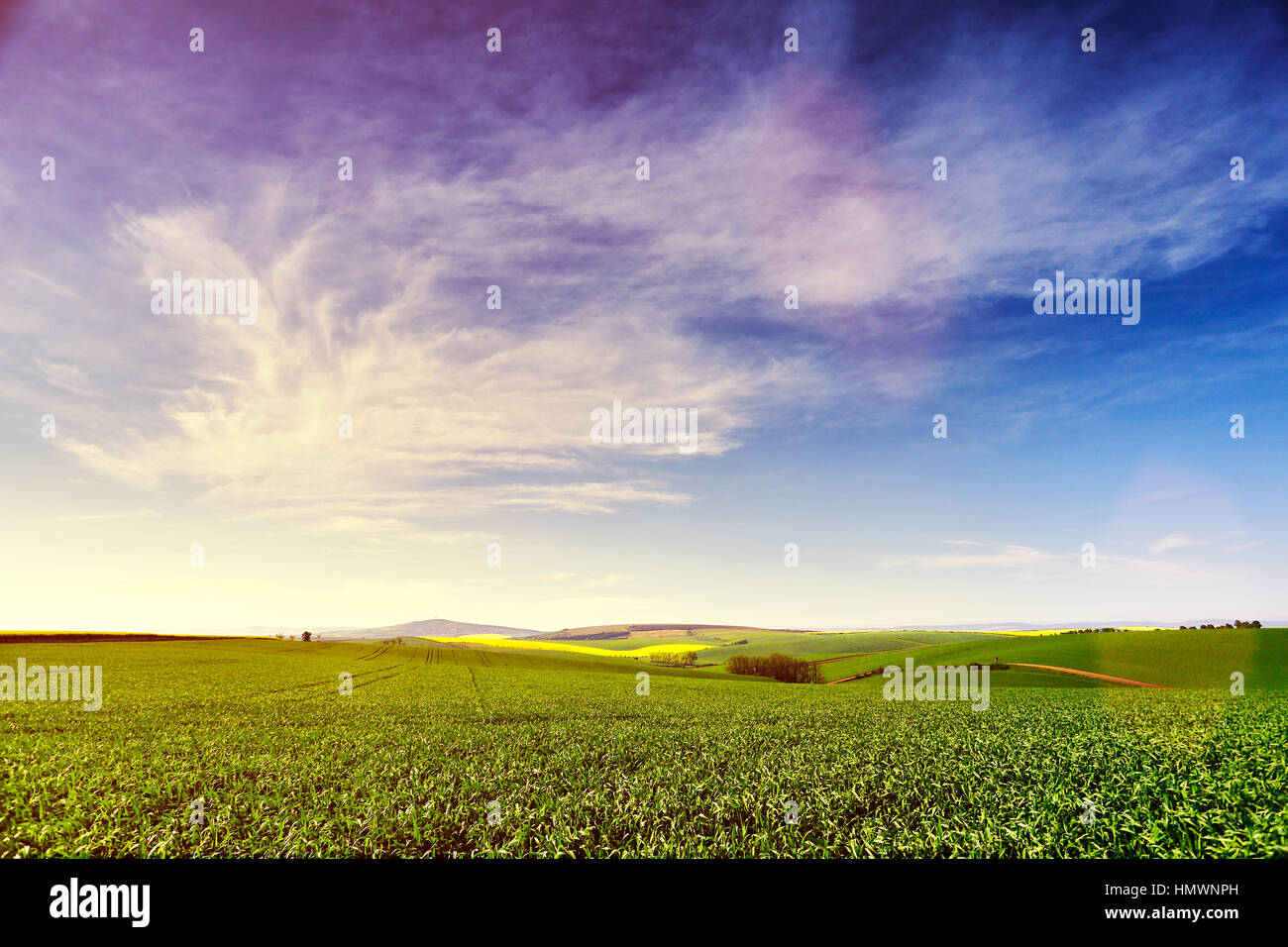 Sunny rural spring landscape. Green spring farmland on hills. Daylight ...