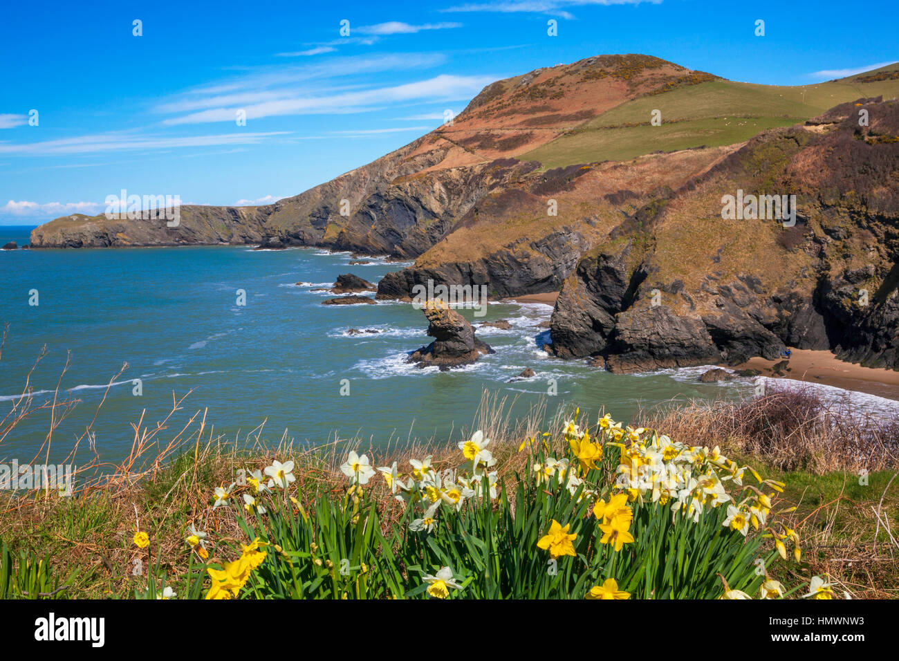 Llangrannog Beach, Ceredigion, Cardigan, West Wales, UK Stock Photo - Alamy