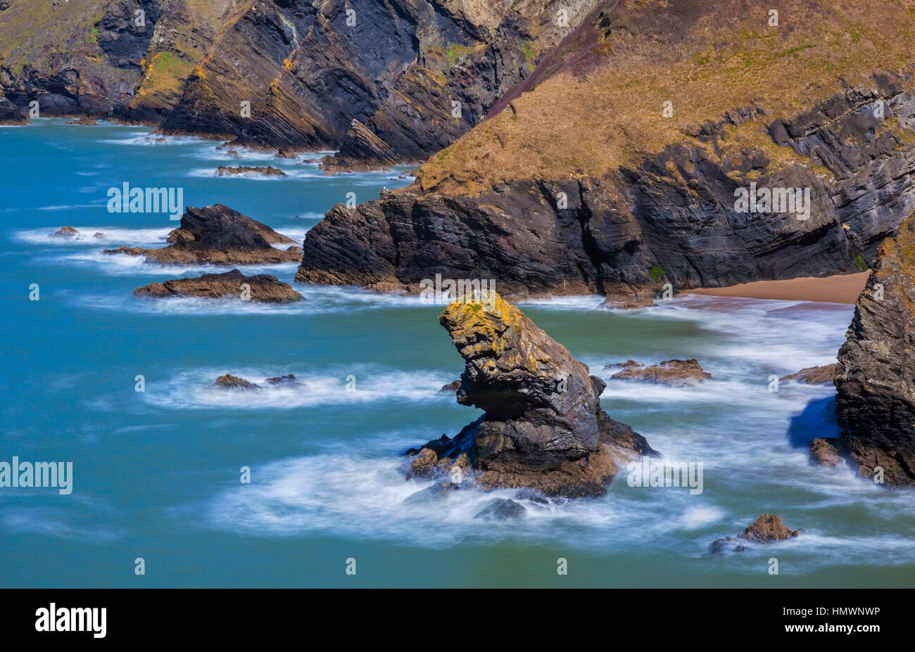 Cardigan wales hi-res stock photography and images - Alamy
