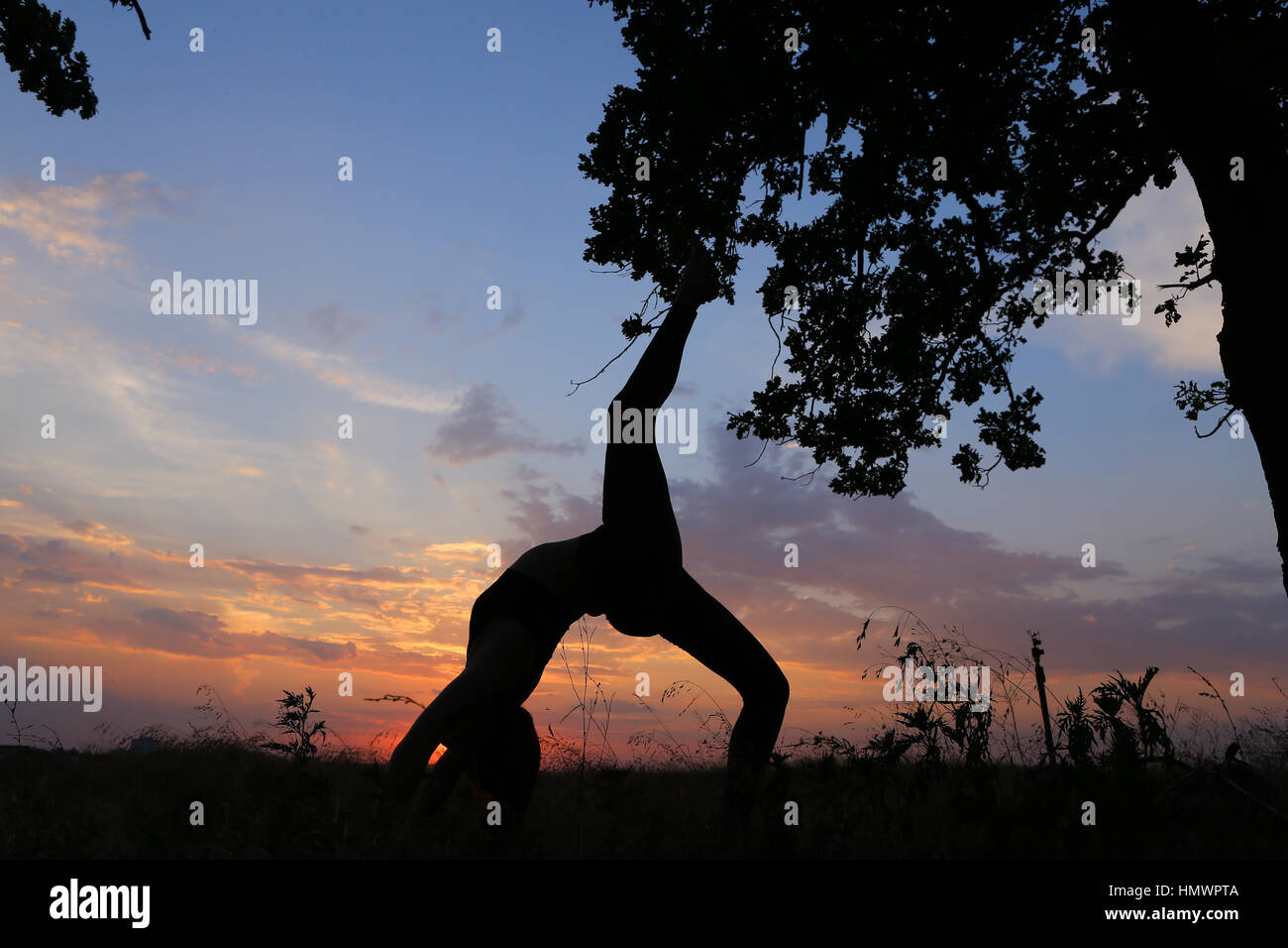 Female with beautiful figure takes yoga postures, gymnastics and ballet ...