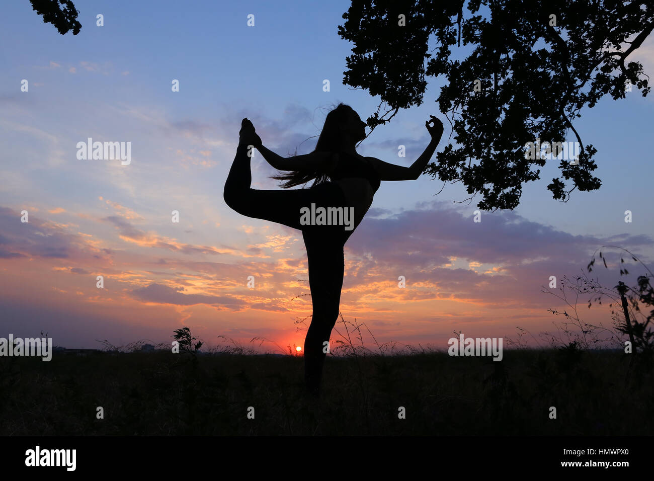 Female with beautiful figure takes yoga postures, gymnastics and ballet ...