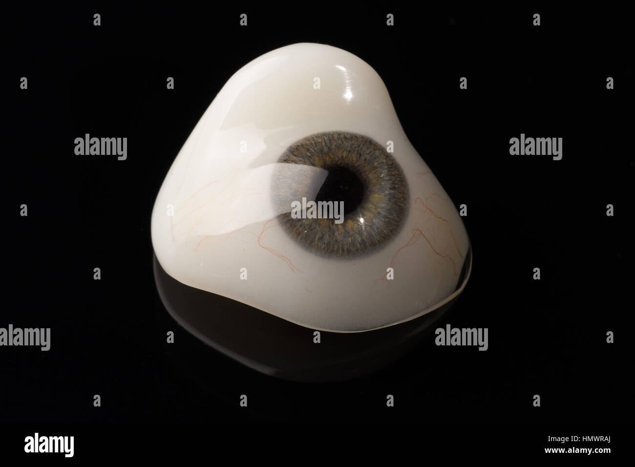 Glass eye prosthetic or Ocular prosthesis with reflection on black ...