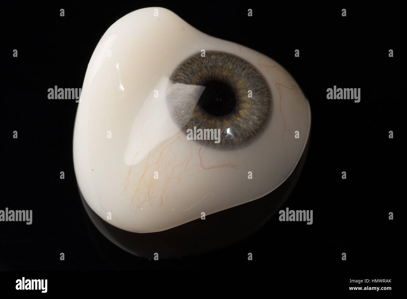 Glass eye prosthetic or Ocular prosthesis with reflection on black ...
