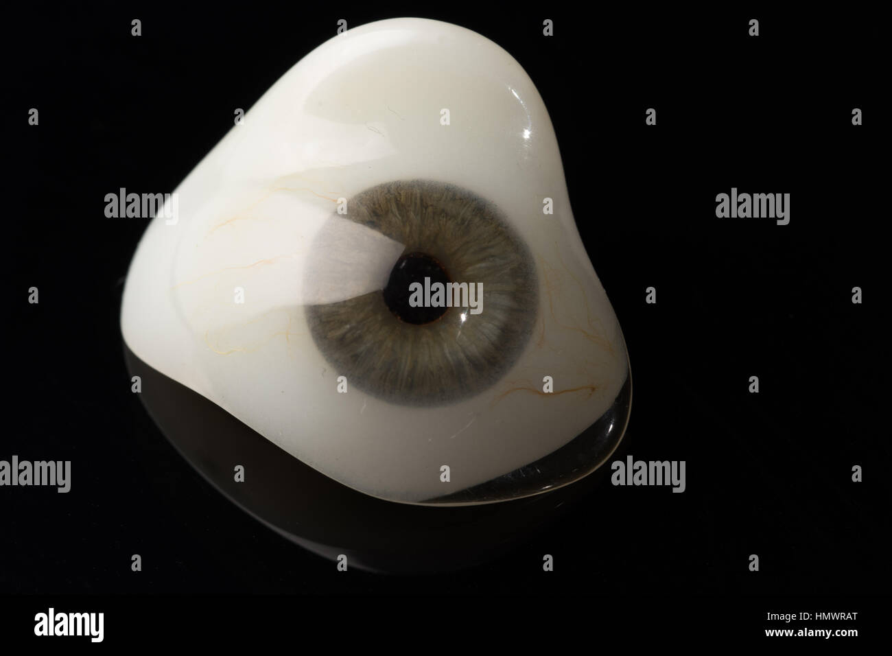 Ocular Prosthetic