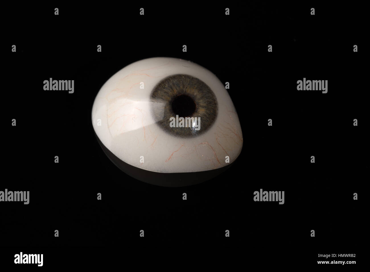Glass eye prosthetic or Ocular prosthesis with reflection on black ...