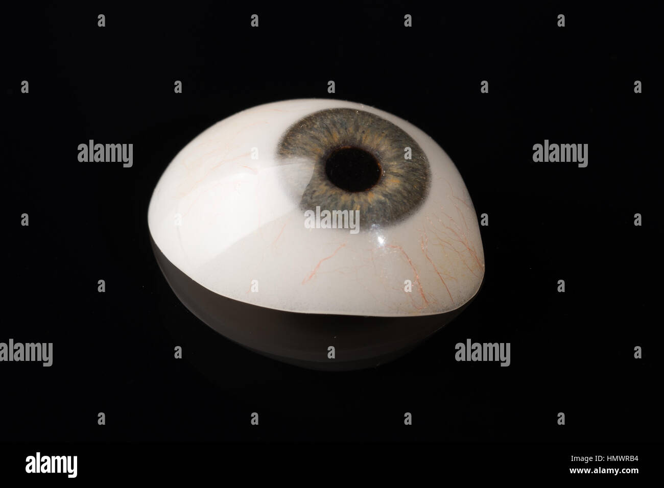 Glass eye prosthetic or Ocular prosthesis with reflection on black ...