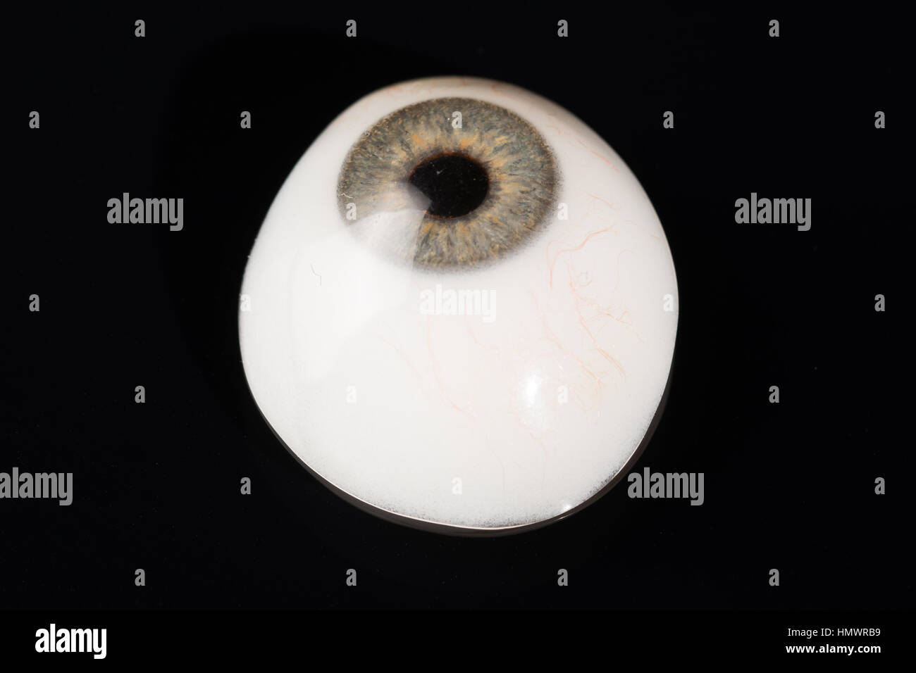 Glass eye prosthetic or Ocular prosthesis with reflection on black ...