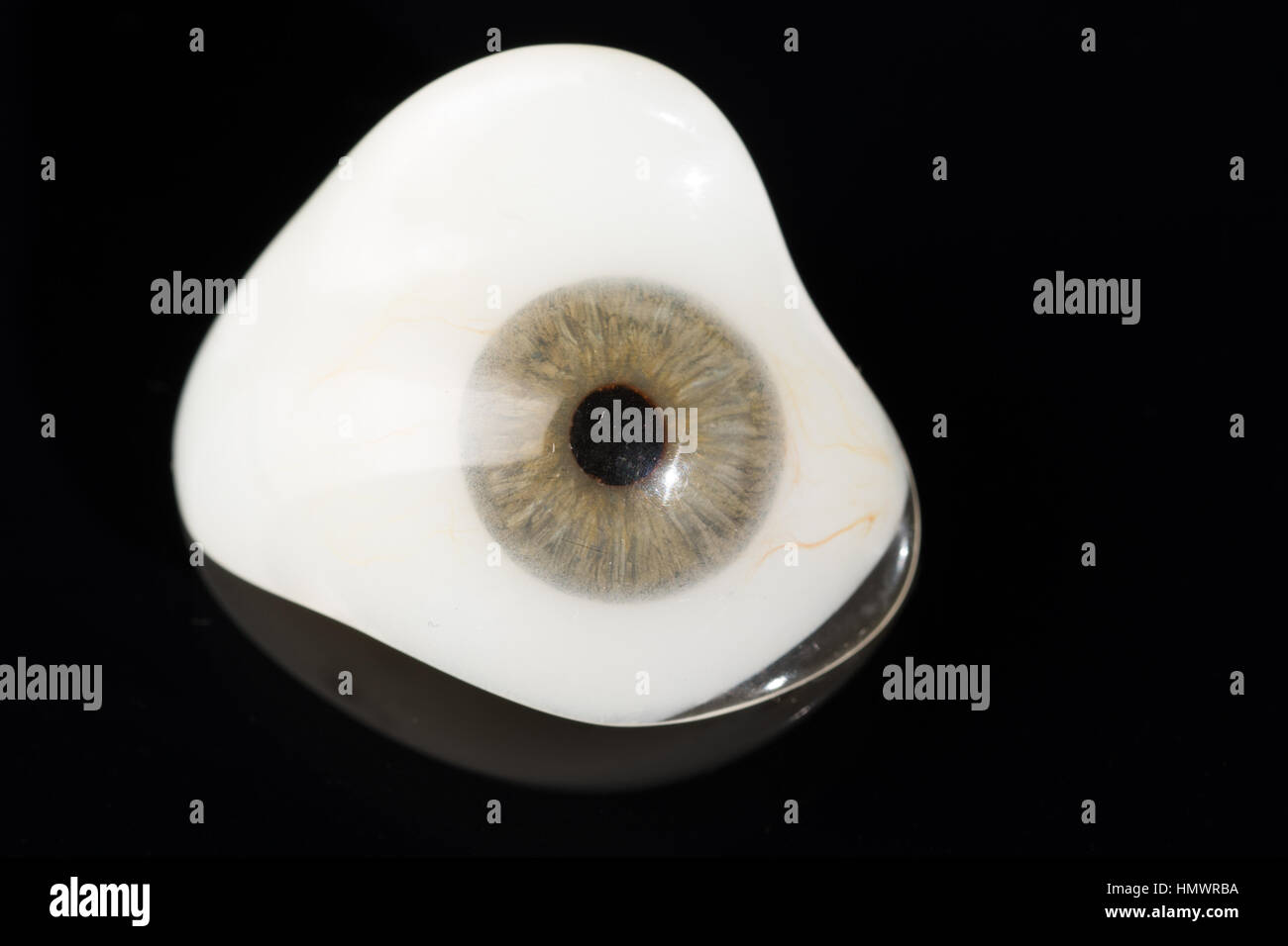 Glass eye prosthetic or Ocular prosthesis with reflection on black ...