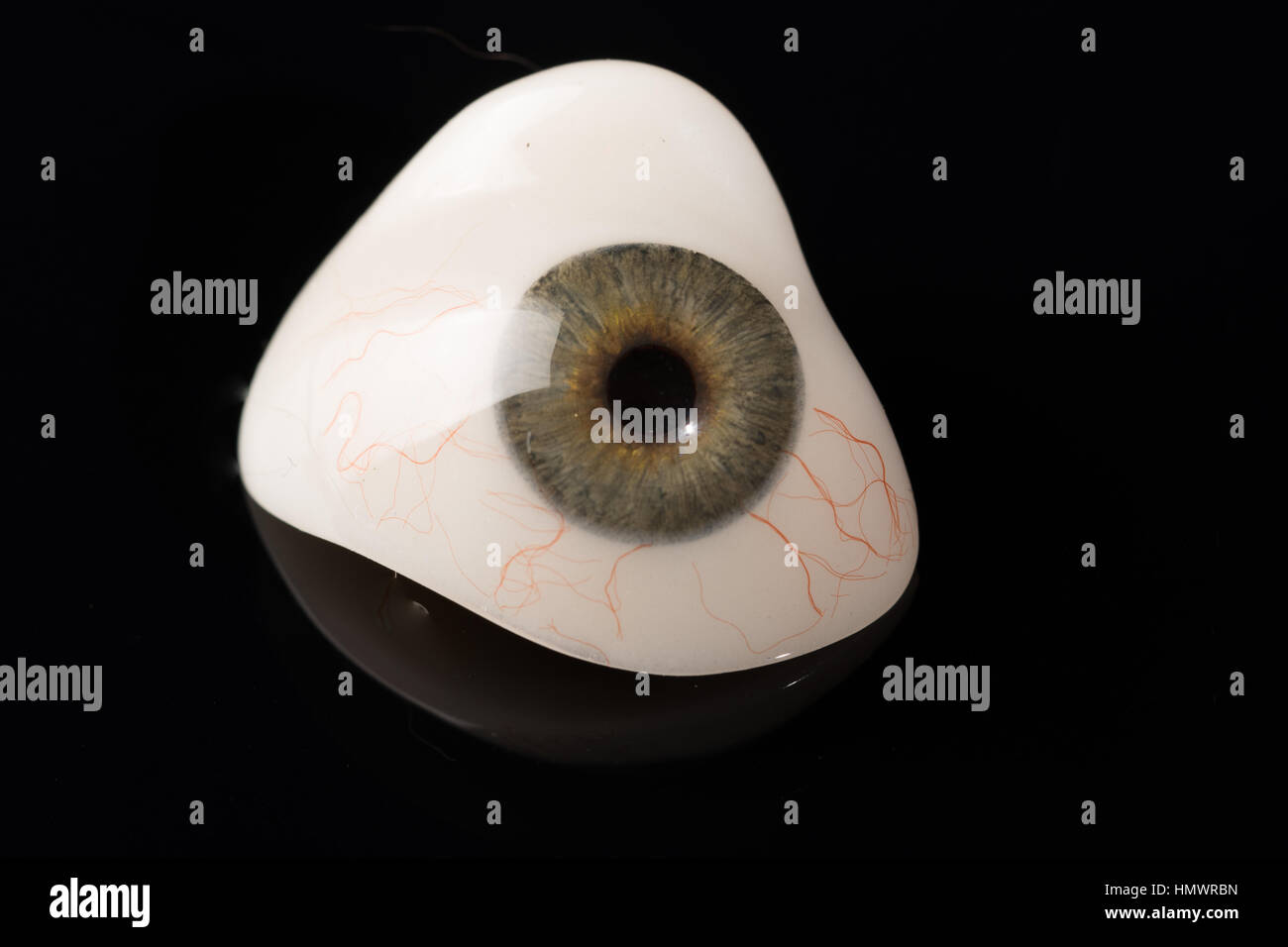 Glass eye prosthetic or Ocular prosthesis on black Stock Photo - Alamy