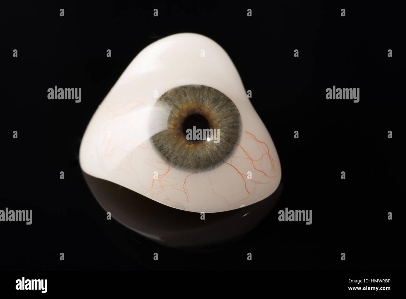 Glass eye prosthetic or Ocular prosthesis on black Stock Photo - Alamy