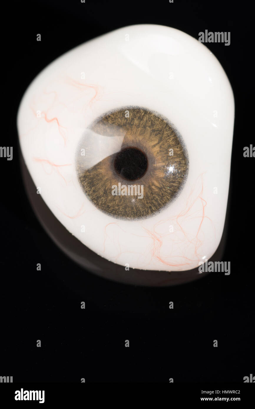 Glass eye prosthetic or Ocular prosthesis on black Stock Photo - Alamy