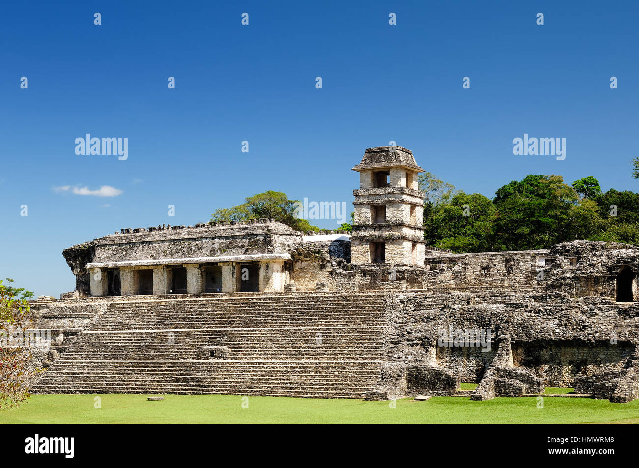 Palenque King High Resolution Stock Photography and Images - Alamy