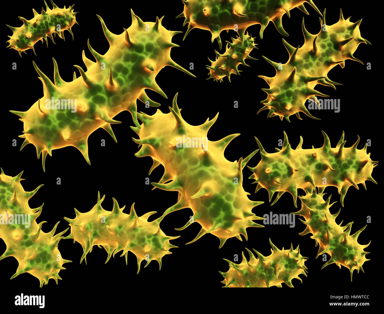 Many pathogen viruses. Isolated on black background. 3d render Stock ...