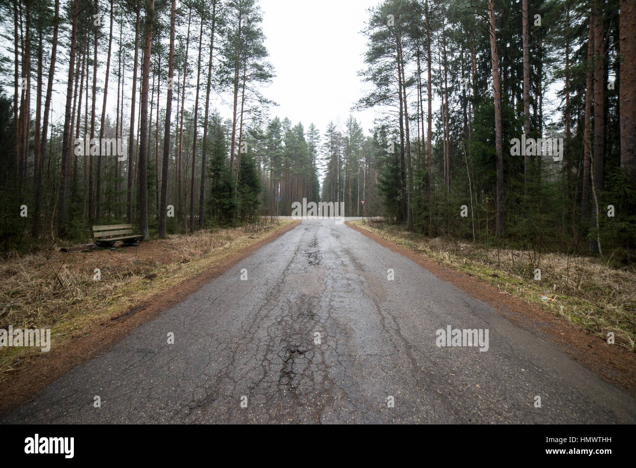 old road in the forest Stock Photo - Alamy