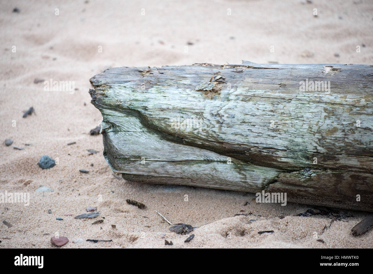 piece of wood on sand Stock Photo - Alamy