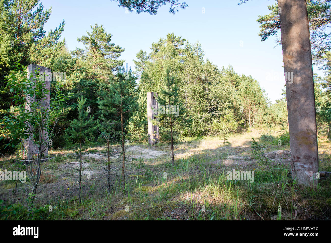rusty metal objects in field and forest Stock Photo - Alamy