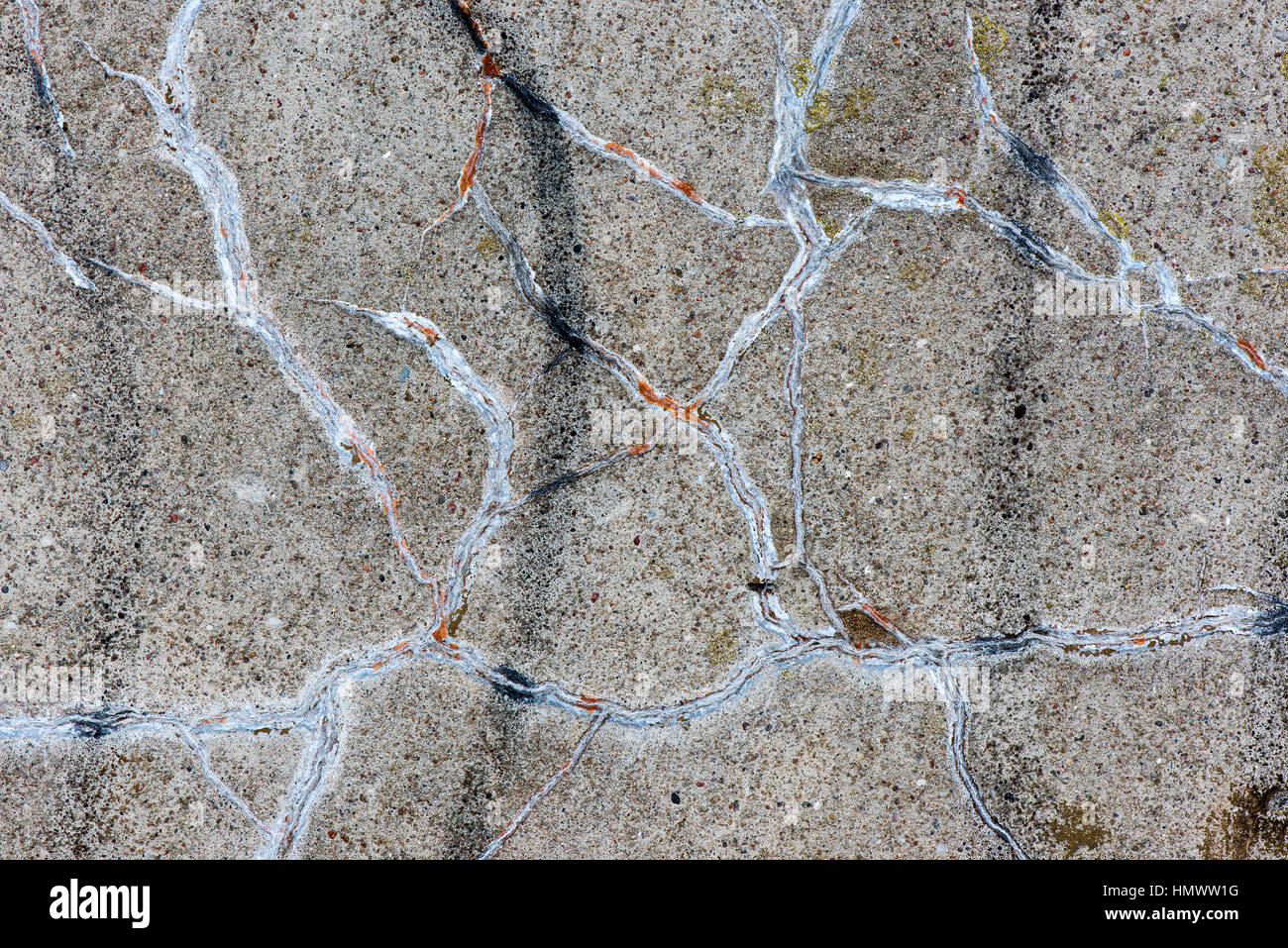 old concrete wall texture with cracks and fungus Stock Photo - Alamy