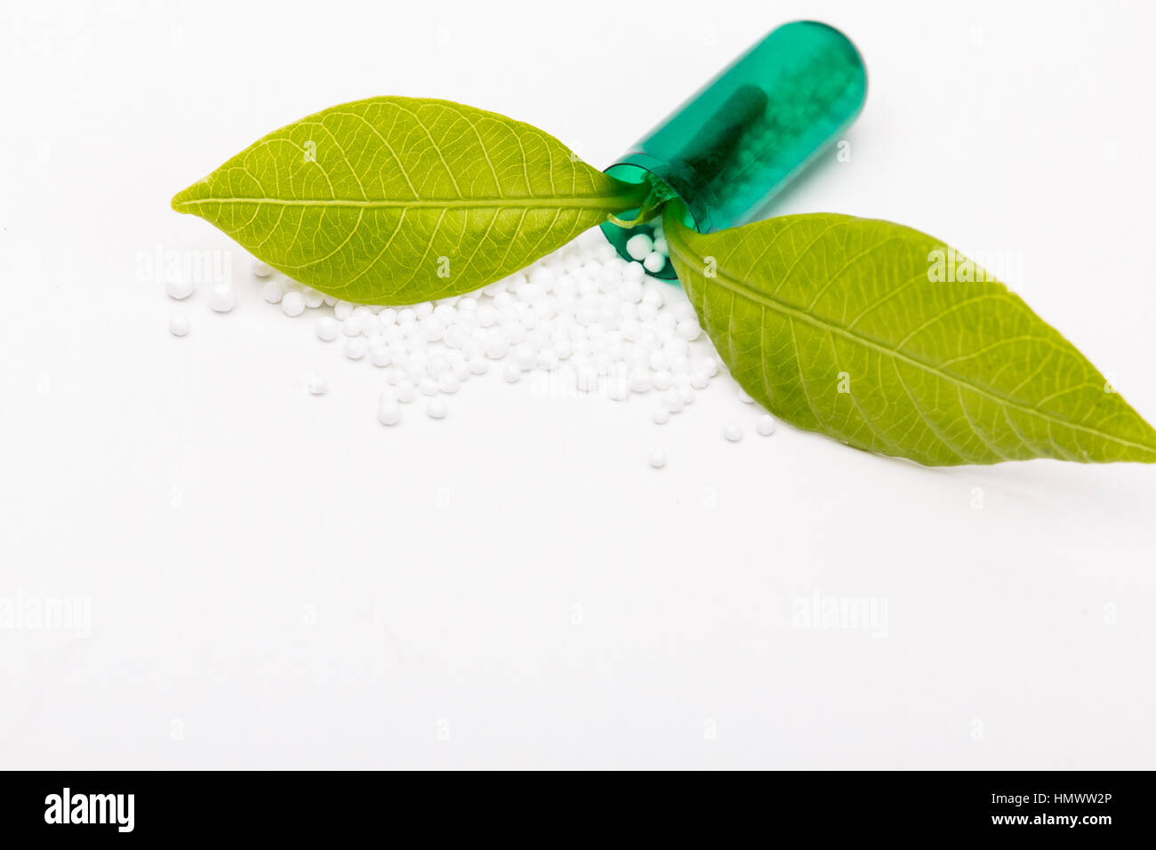 Open green capsule with green leaf growing out from it Stock Photo - Alamy