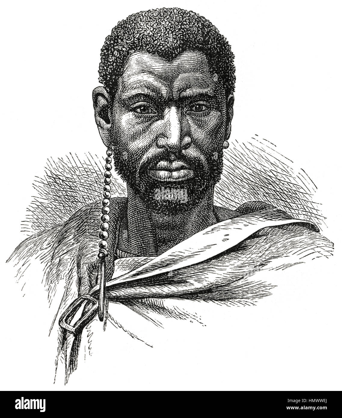 The king of africa hi-res stock photography and images - Alamy