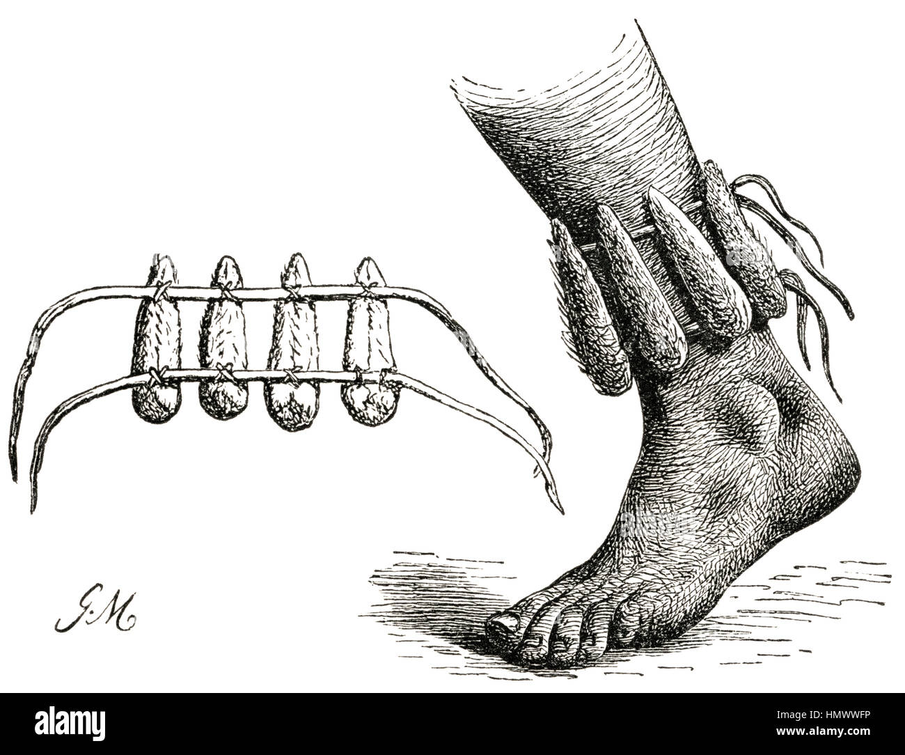 Dancing Rattles on Ankle, Africa, Illustration from the book ...