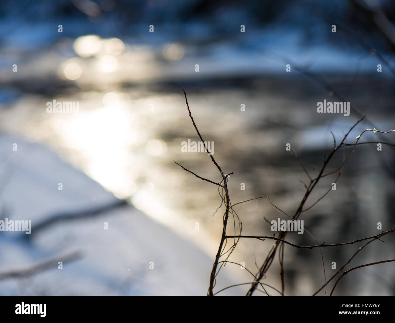 winter tree branches in abstract textured background Stock Photo - Alamy