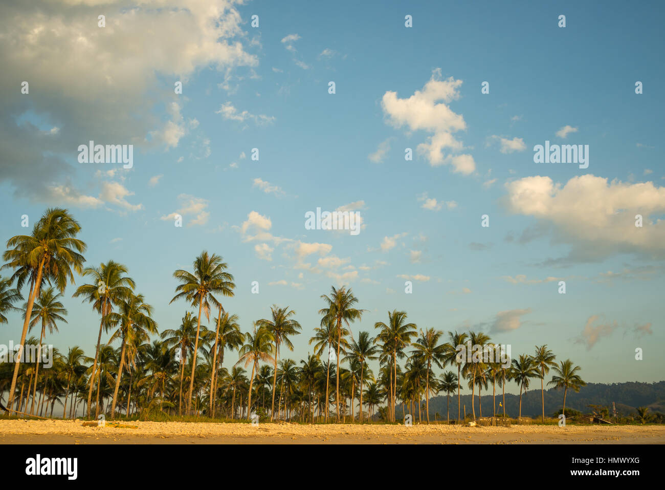 Sky and tree beautiful sunsets on the beach Stock Photo - Alamy