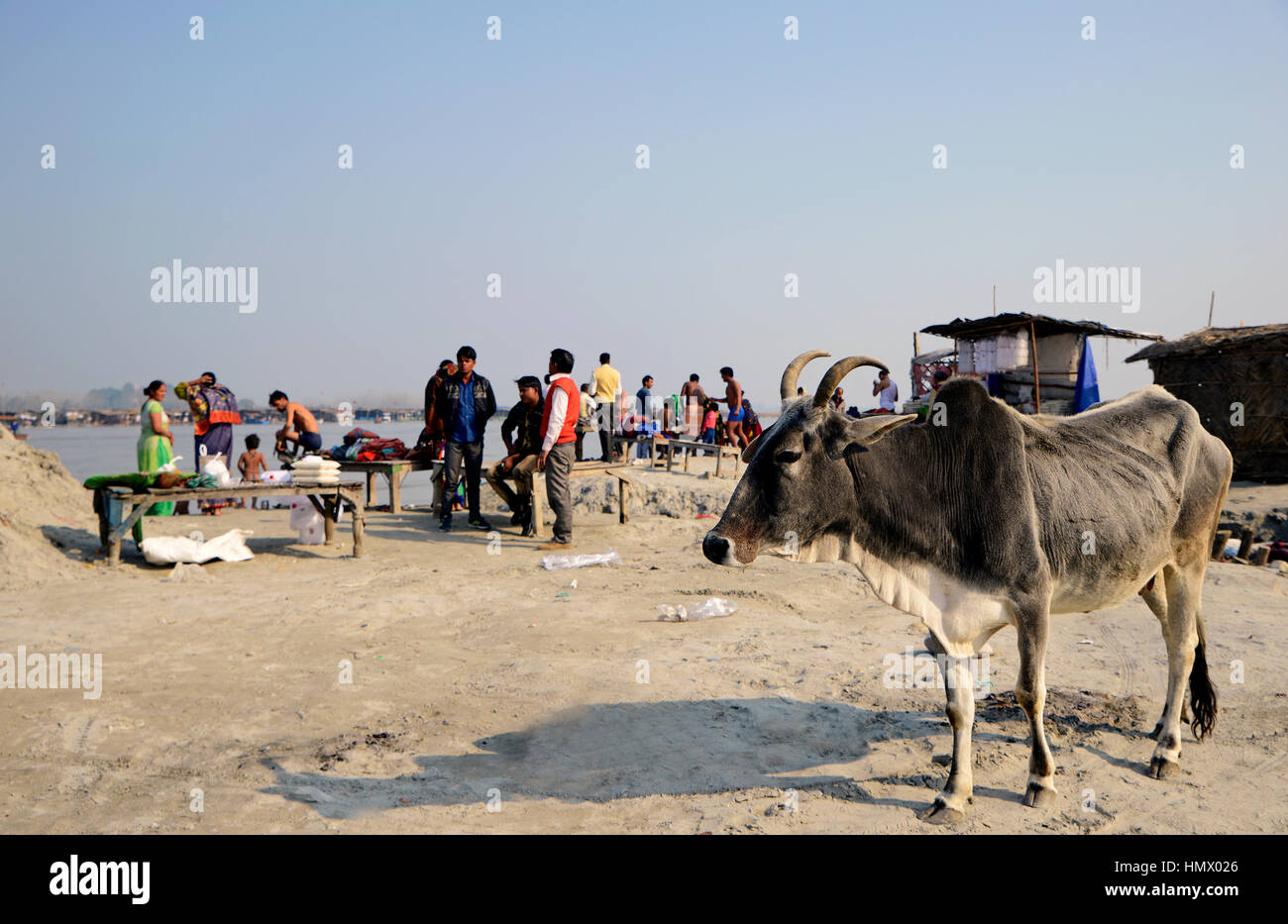 Ganga River Agriculture High Resolution Stock Photography and Images ...