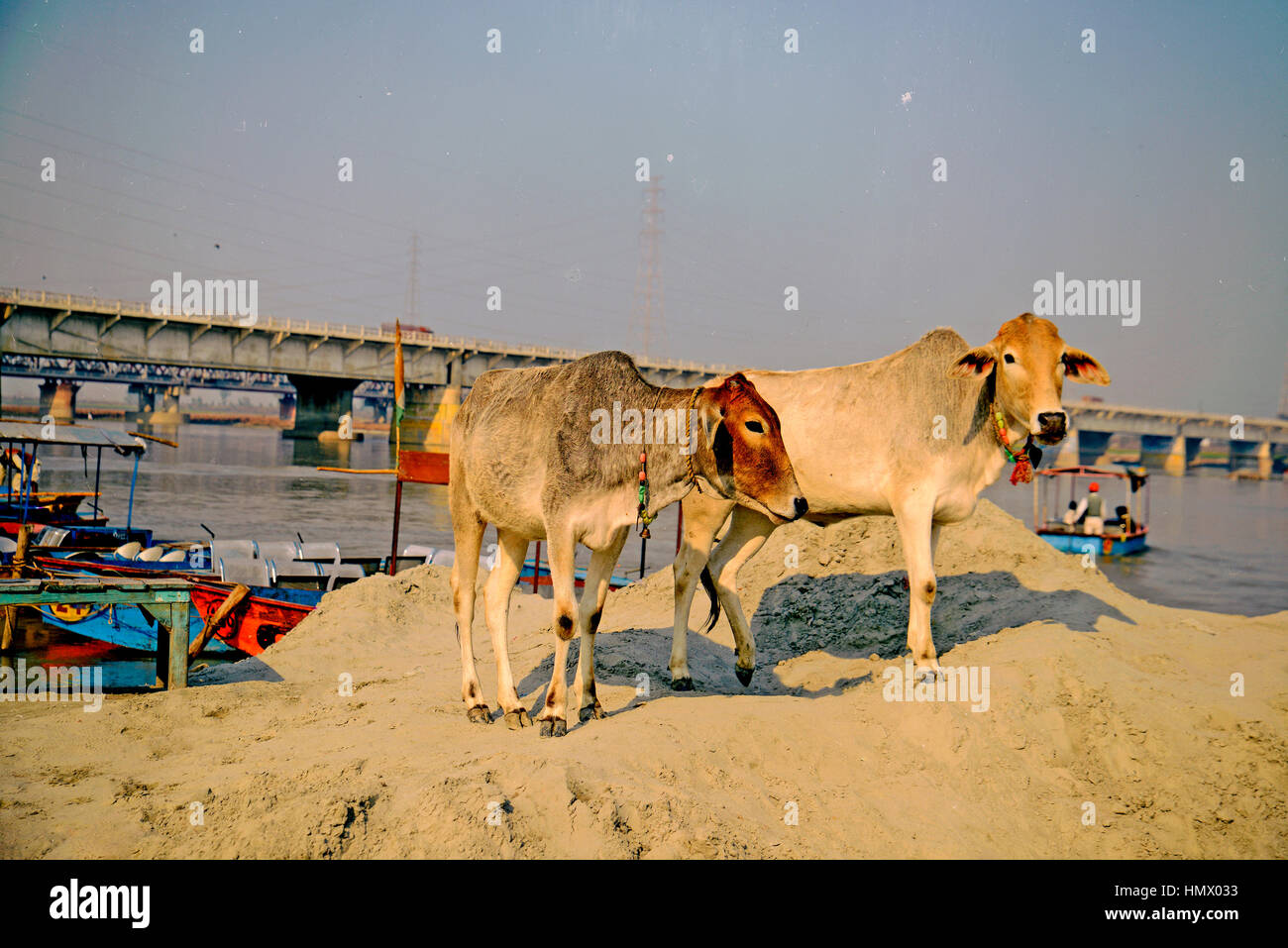 Ganga River Agriculture High Resolution Stock Photography and Images ...
