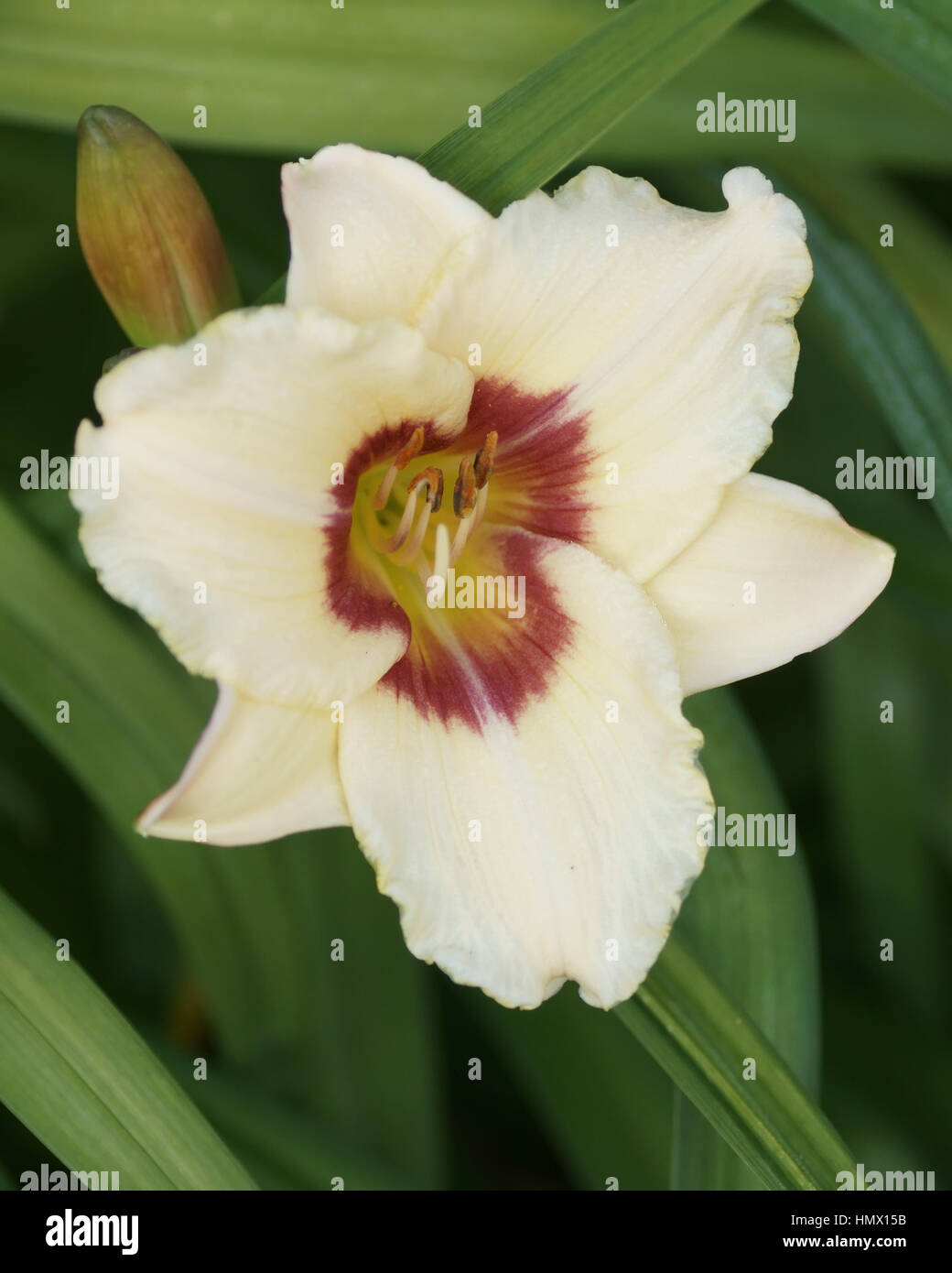 Pandoras Box High Resolution Stock Photography and Images - Alamy