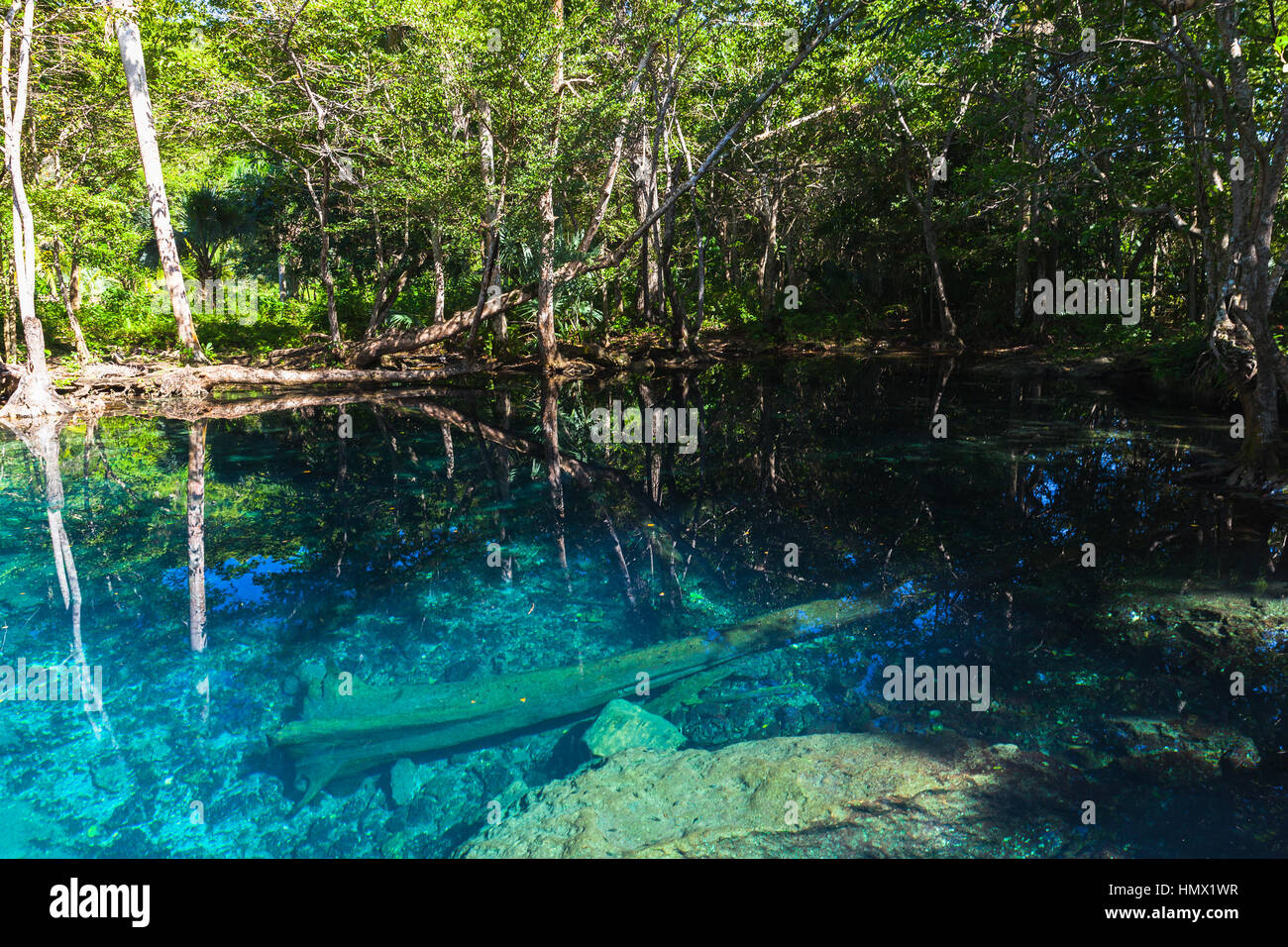 Blue lake in dark tropical forest, natural landscape of Dominican ...