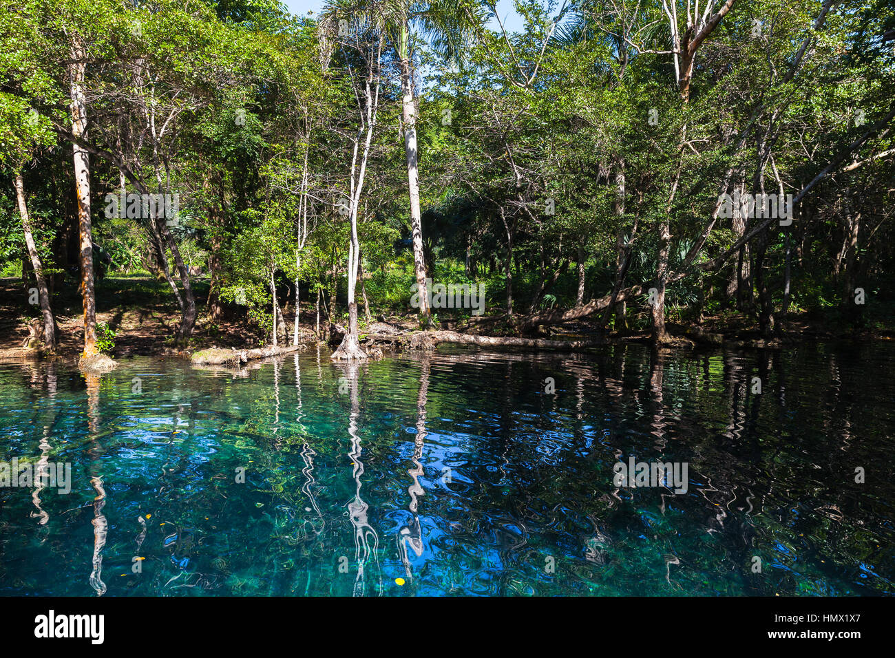 Still blue lake in dark tropical forest, natural landscape of Dominican ...
