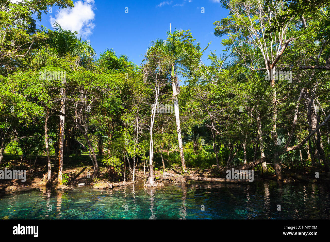 Still blue lake in tropical forest, natural landscape of Dominican ...