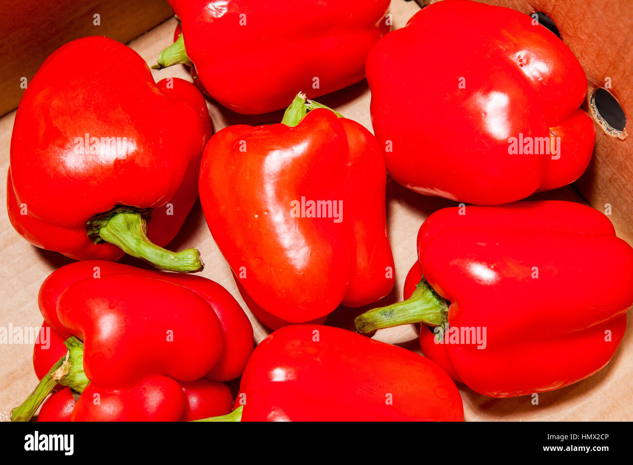 Different types of housing hi-res stock photography and images - Alamy