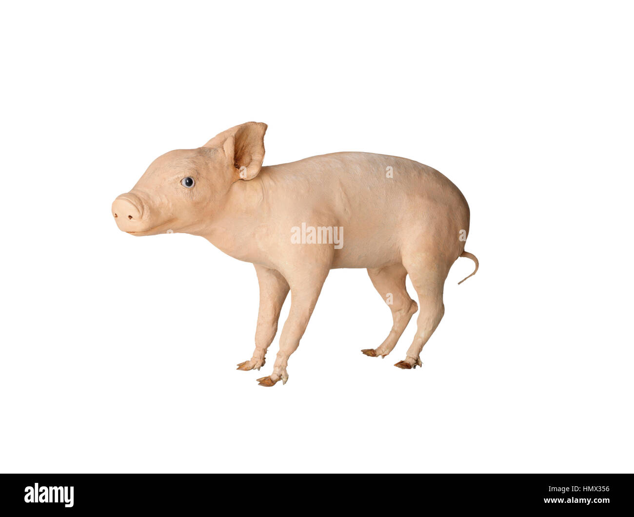 Cute little pig farm Cut Out Stock Images & Pictures - Alamy