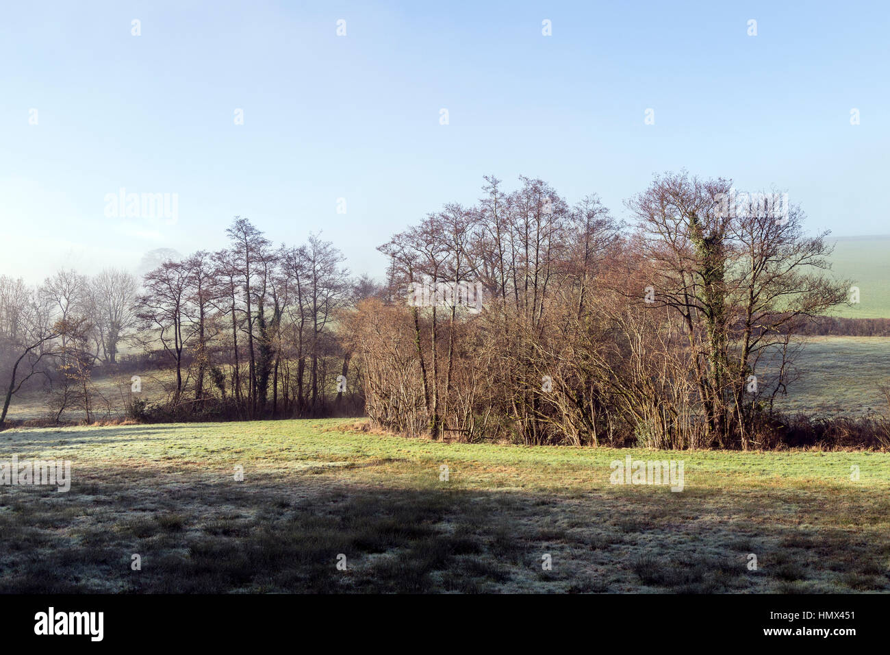 river flood plain in Devon on a frosty morning Stock Photo - Alamy