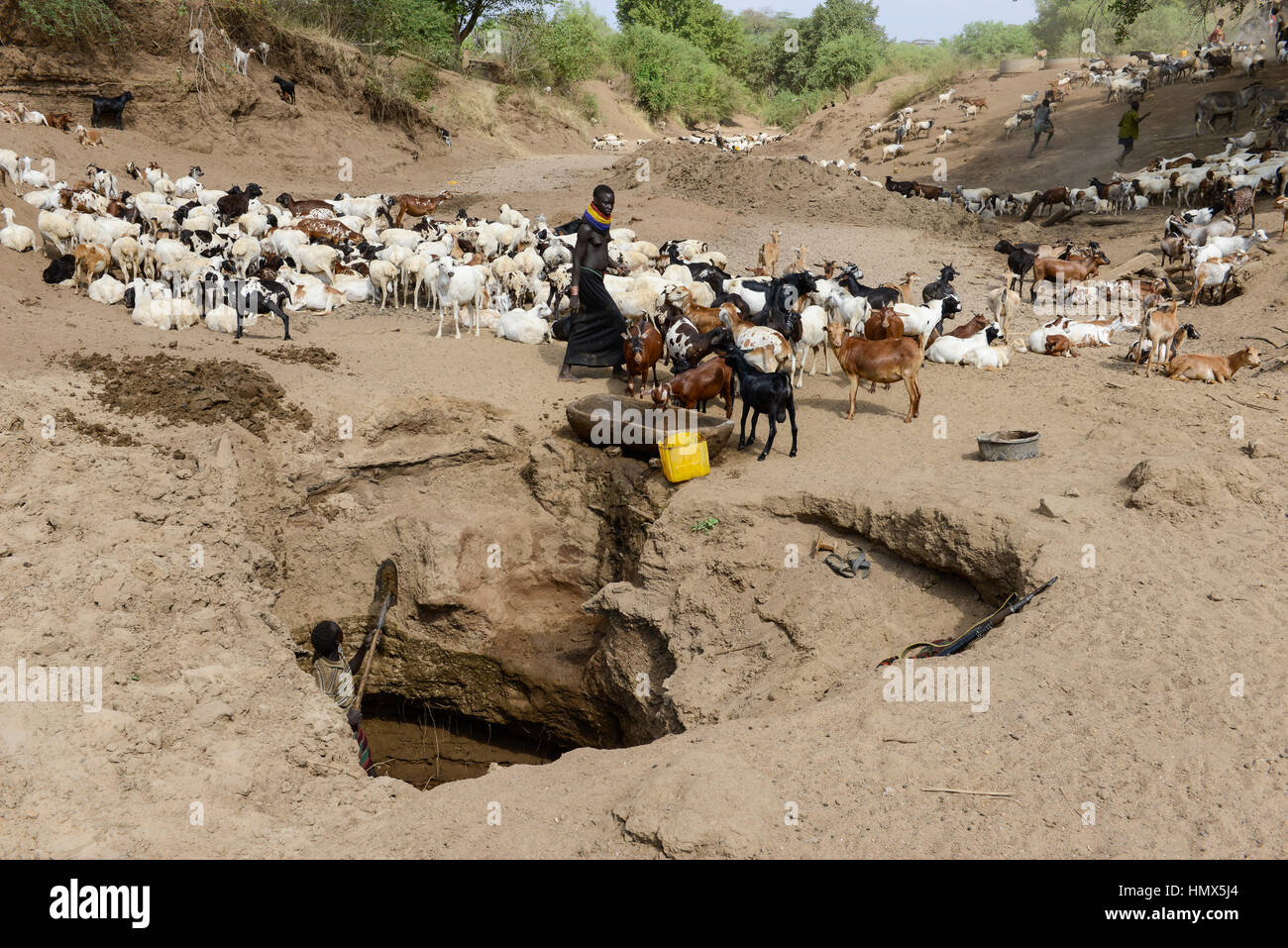 Goat digging bed hi-res stock photography and images - Alamy