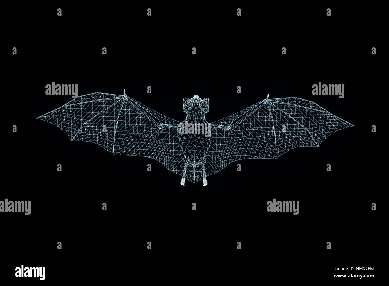 Giant Bat in Hologram Wireframe Style. Nice 3D Rendering Stock Photo ...